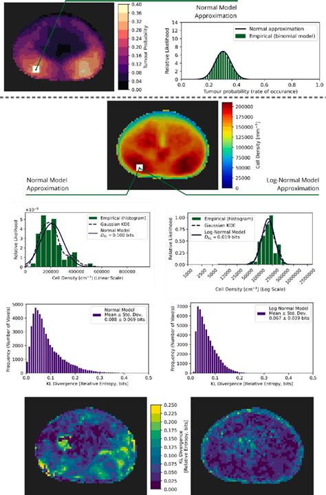 Validation Of Model Selection For The Prostate Cancer Biological