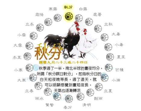 秋分節氣要來了三個養生方法推薦你調整作息才能提高免疫力MamiBuy編輯部 媽咪拜MamiBuy