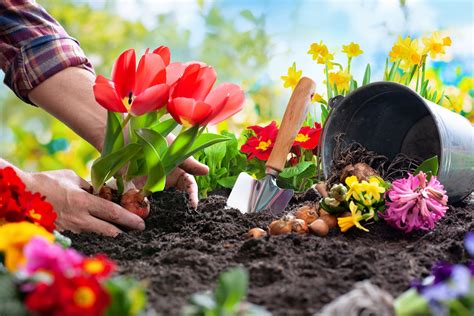 Specialsblog — The Healing Garden Snoqualmie Wa