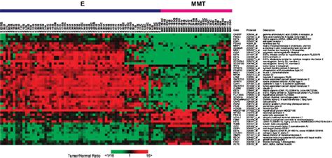 A Unsupervised Analysis Using Multidimensional Scaling Based On The
