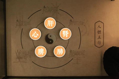 访童涵春堂，体验国潮养生新风尚