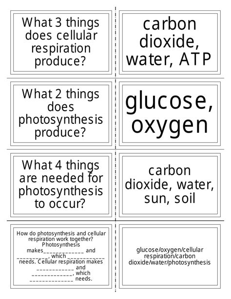 Biology Flash Cards Download Printable Pdf Templateroller