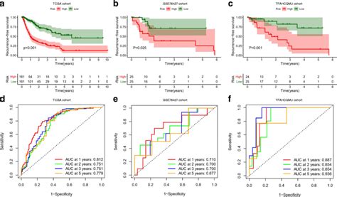 Performance And Validation Of The Prognostic Signature For Hcc In Download Scientific Diagram