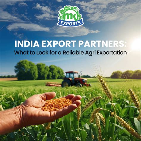 What Makes Great India Export Partners Lessons From The Agri Export