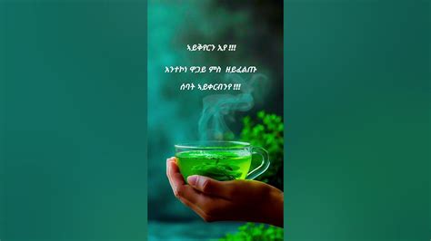 eritreancomedy habesha eritreanmusic eritrean eritreanfilm eritreanews eritreanmovie