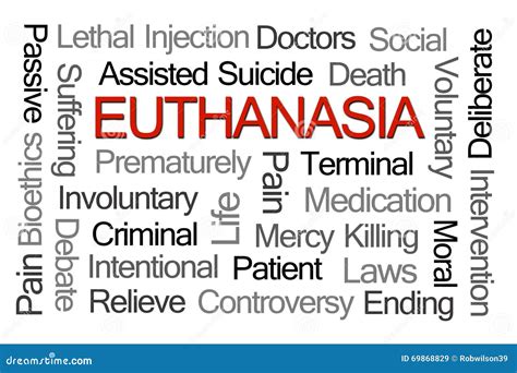 Euthanasia Word Cloud Cartoon Vector 162422319