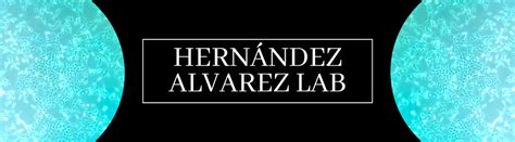 Hernández Alvarez Lab Our Team Is Interested In Learning How