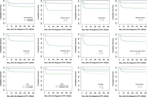 Kaplan Meier Analysis Of Risk Factors For 1 Year All Cause Mortality In Download Scientific