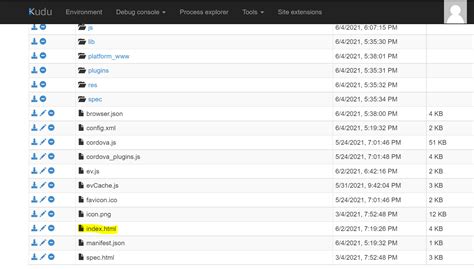 Javascript How To Deploy Cordova Platformbrowser Content To Azure App Service Stack