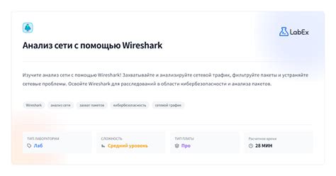 Анализ сети с помощью Wireshark Labex
