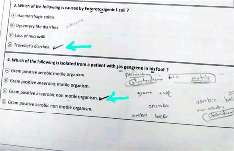 Micro Midterm Medical Microbiology Studocu