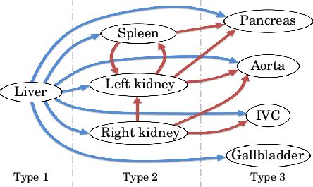 Multi Organ Segmentation Based On Organ Correlation Graph OCG A B Download Scientific