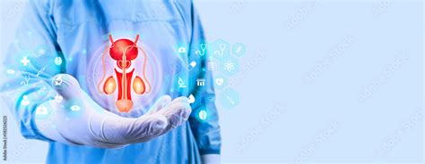 Male Reproductive System Surgeon Hand Isolated With Light Blue Background Specialized Medical