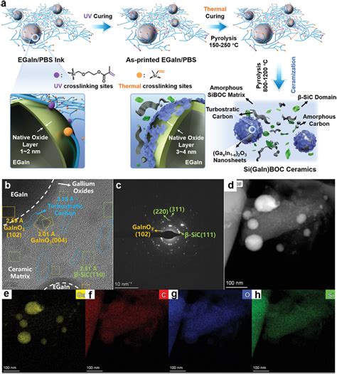 Phase Evolution Of Sigainboc Ceramics A Schematic Illustration Of