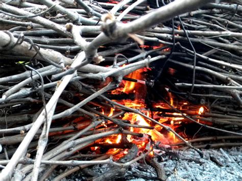 გაინტერესებთ აქ რა კერძი მზადდება დააწკაპუნე