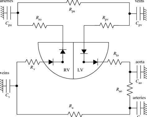Circuit Diagram Of A Lumped Parameter Circulation Model Consisting Of Download Scientific
