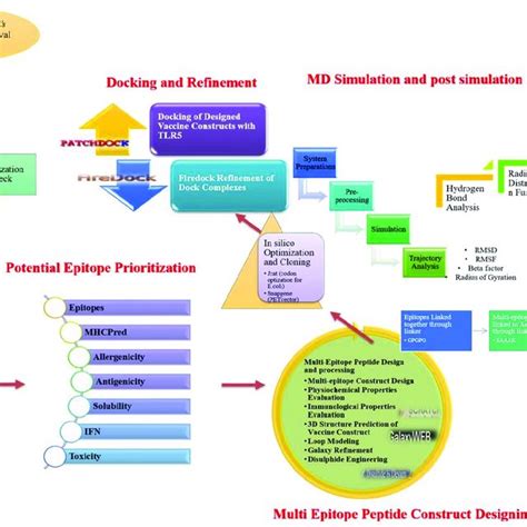 Schematic Representation Of Computational Approaches Utilized In This Download Scientific