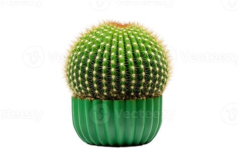 Ai Generated Cactus On Transparent Background Ai Png