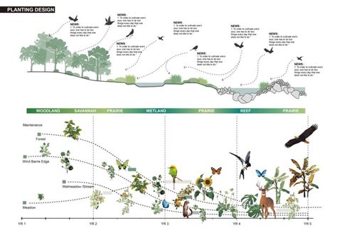 Images De Schemas Migration Oiseaux Téléchargement Gratuit Sur Freepik