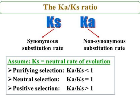 选择压计算流程 Kaks 知乎
