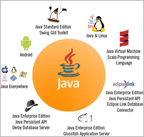 Java Ne İşe Yarar