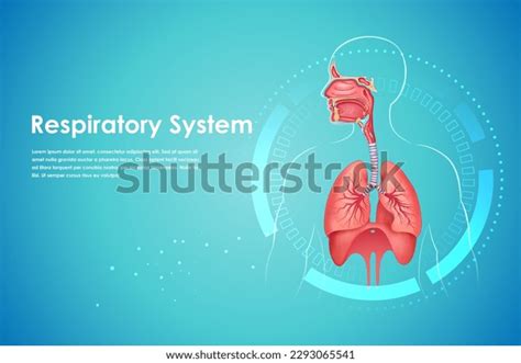 Illustration Healthcare Medical Education Drawing Chart Stock Vector