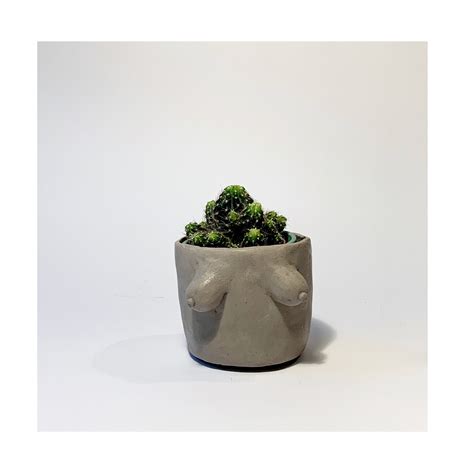 Make Your Own Boob Pot Kit Home DIY Pottery Kit Fun Etsy UK