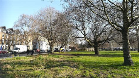 Mapathon — Urban Tree Festival Mapathon — Urban Tree Festival