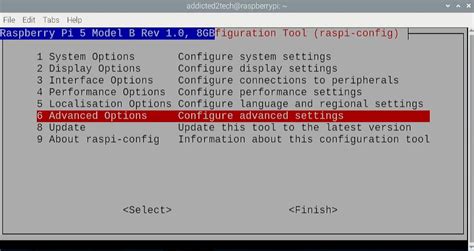 Raspi Config 6 Advanced Options Addicted To Tech