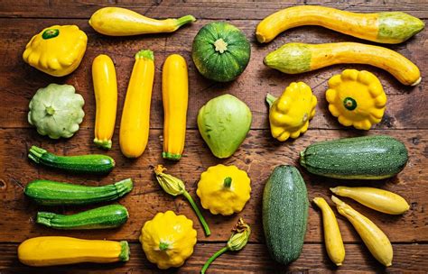 Green Colored Squash