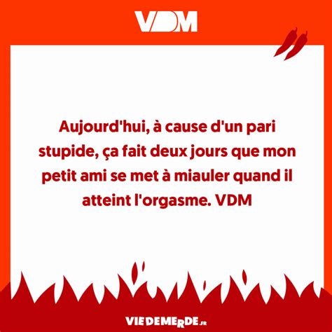 Miaou Rvdm