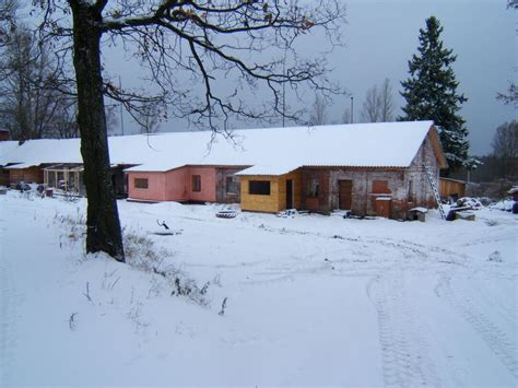 Фазанник Ленинградская область Лужский район Дзержинское сельское поселение пос Дзержинского