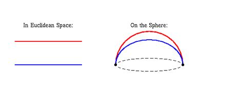 Question Corner Understanding Projective Geometry