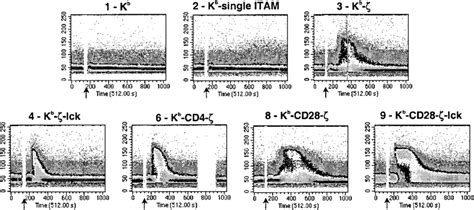 Chimeric Receptors Stimulate Calcium Mobilization 4g4 T Cells Were Download Scientific Diagram