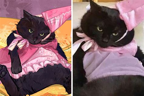 70 Of The Funniest Internet Famous Cat Pics Get Illustrated By Catwheezie New Pics