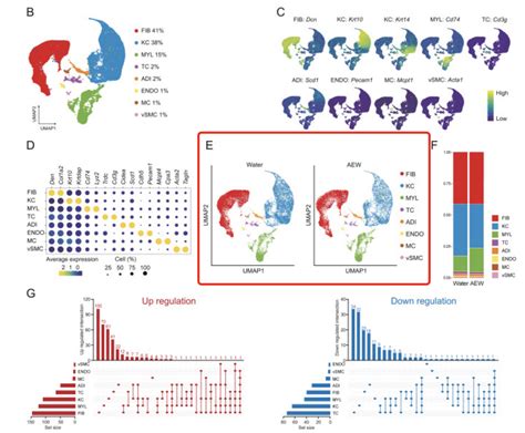 单细胞转录组的3种常规数据分析思路 生信菜鸟团
