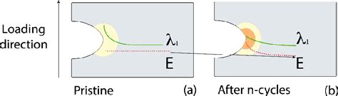 Figure 1 From Self Organization At The Crack Tip Of Fatigue Resistant Thermoplastic Polyurethane