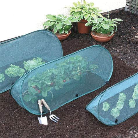 Pop Up Net 1m Cloche From Dt Brown