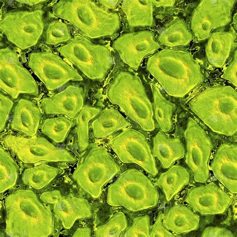 细菌 背景 小的 微生物学 绘画插图 有毒生物体 抽象 有机食品 科学实验素材 花瓣网