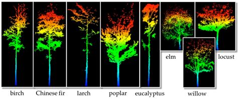 Remote Sensing Free Full Text Tree Species Classification Of Backpack Laser Scanning Data