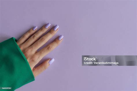 라벤더 색의 배경에 보라색 손톱이 있는 Gelish 매니큐어 보라색 손톱과 녹색 옷 긴에 대한 스톡 사진 및 기타 이미지 긴 손톱 0명 Istock