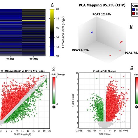 Comparative Transcriptomic Analyses Of Human Tarsal Plates With And Download Scientific Diagram