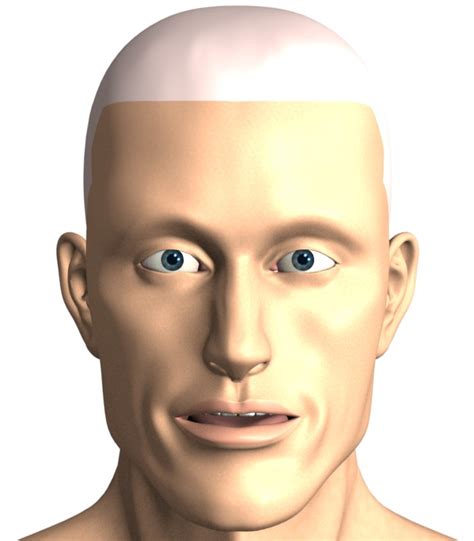 Human Male Model Nudity Works In Progress Blender Artists Community