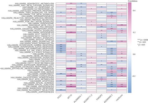 A The Gsva Analysis Based On The Kegg Terms B The Gsva Analysis