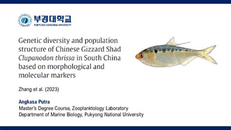 Pdf Pknu Systematic Ichthyology 2 Genetic Diversity And Population Structure Of Chinese