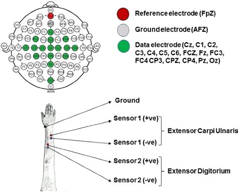 Figure 2 From Enhancement Of Movement Intention Detection Using Eeg Signals Responsive To