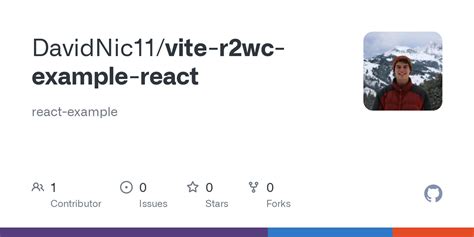 Github Davidnic Vite R Wc Example React React Example