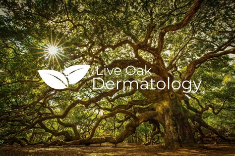 Live Oak Dermatology Brent Thomas Goedjen Md Roswell Ga Business