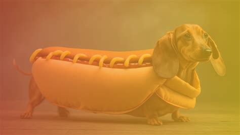 Berkeley Innovation Groups Ml Digest October Edition