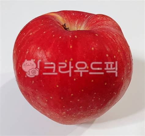 사과 음식 과일 생과일 간식 사진 이미지 일러스트 캘리그라피 먹방작가